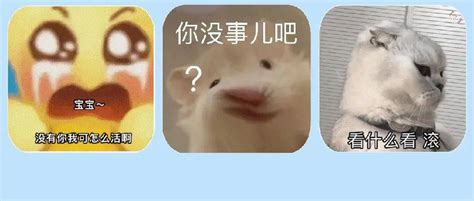 表情包丨宝宝~没有你我可怎么活啊！ 朋友 短句 全世界