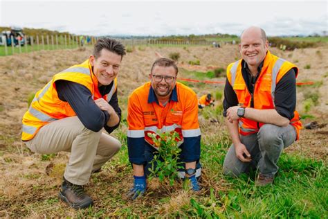 URBAN FOREST PROJECT Treescape