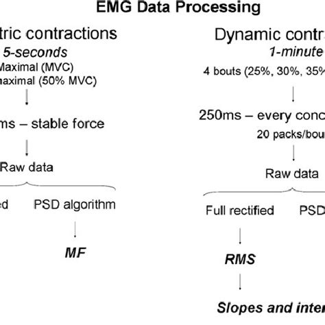 Emg Data Processing To Isometric And Dynamic Contractions Download