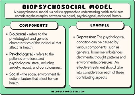 Biopsychosocial Model Examples Overview Criticisms 2025