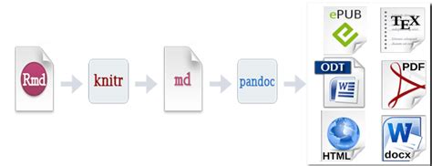 Document Your Analysis With R MarkDown