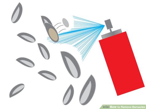 How To Remove Barnacles 11 Steps With Pictures Wikihow