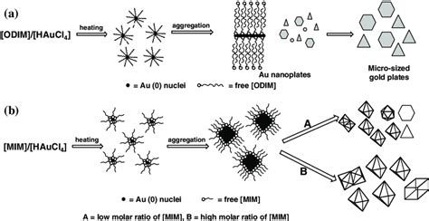 Schematic Representation Of The Steps In The Formation Of The Au Download Scientific Diagram