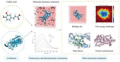 Spectrochimica Acta Part A Molecular
