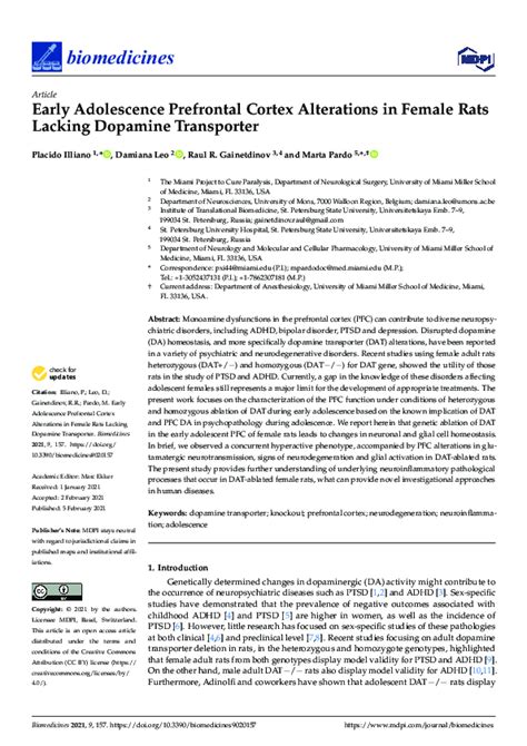 Pdf Early Adolescence Prefrontal Cortex Alterations In Female Rats Lacking Dopamine Transporter