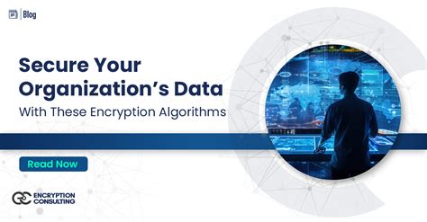 Secure Your Organizations Data With These Encryption Algorithms