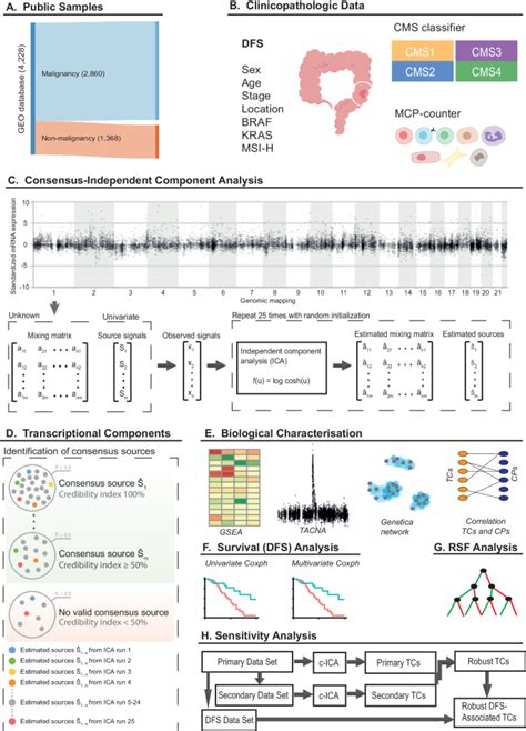 独立的转录模式揭示了与早期结直肠癌无病生存相关的生物过程 Communications Medicine X Mol