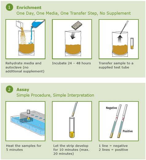 Rapidchek® Listeria Nextday