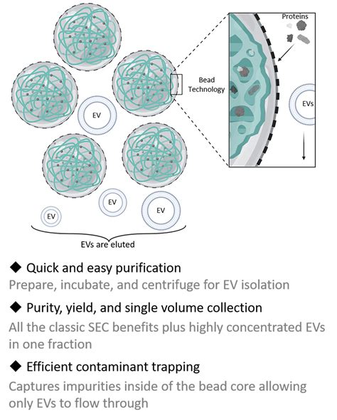 SmartSEC EV Isolation System The Next Generation Of Size Exclusion Chromatography SEC For