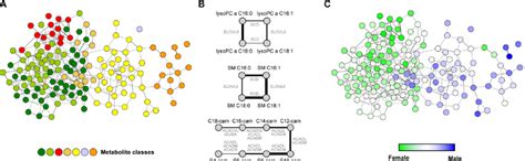 Gaussian Graphical Models Applied To Metabolomics Data A Network Download Scientific Diagram
