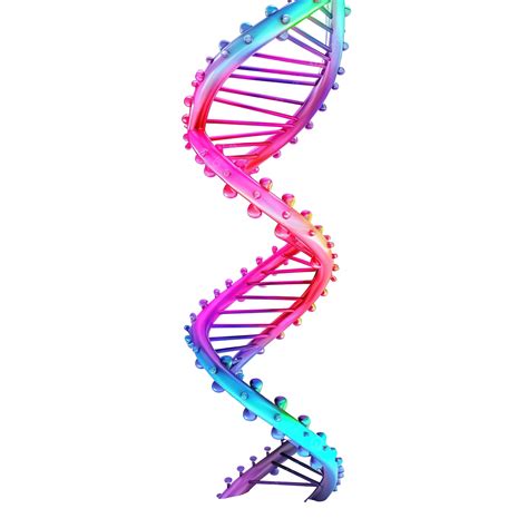 Dna 가닥 Png 그림 원자 바이오 생화학 Png 일러스트 및 이미지 에 대한 무료 다운로드 Pngtree