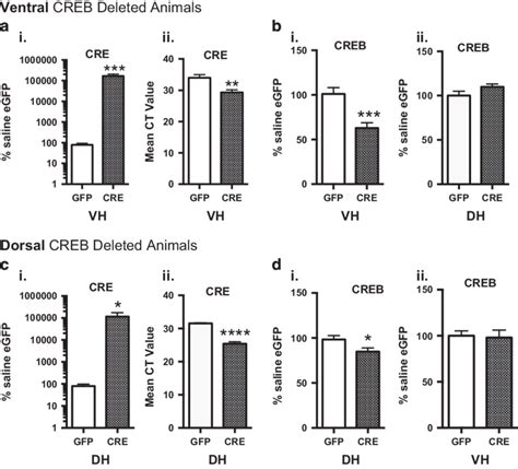Cre Recombinase And Creb Camp Responsive Element Binding Protein Mrna