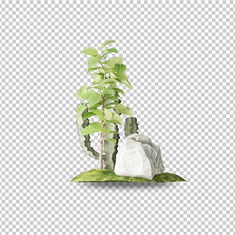 Premium PSD Tropical Plant And Tree Mockup