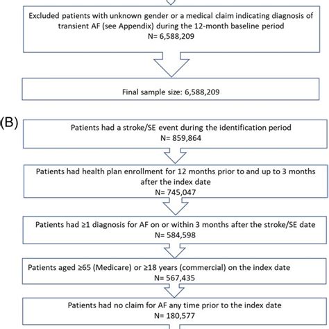 A Patient Selection Criteria For Diagnosed Atrial Fibrillation Download Scientific Diagram