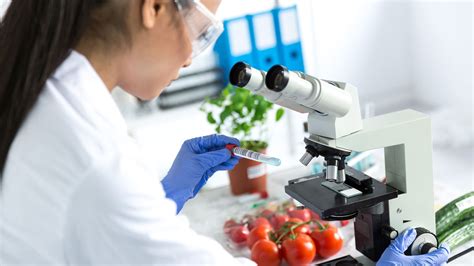 19 Mind Blowing Facts About Food Scientist