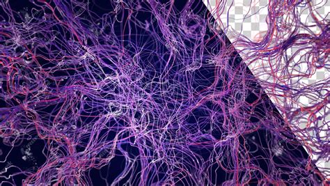 Premium Psd Brain Connections Synapse Neurons And Veins 3d Rendering Neural Connections Brain