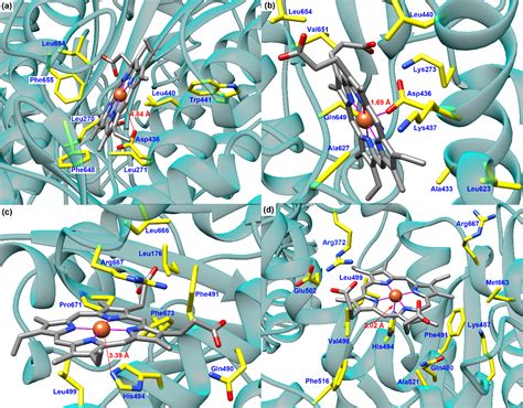 魔德科技案例：mb血红素辅基的结合对肌球蛋白持水能力的研究 四川魔德科技有限公司