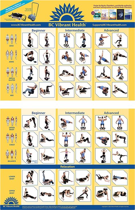 Full Body Vibration Poster Whole Body Vibration Plate Exercise Chart