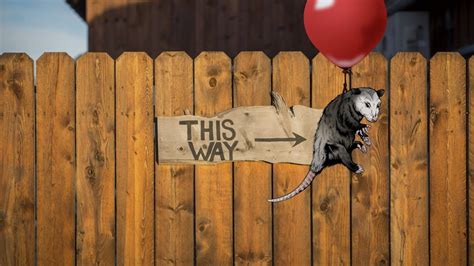 automate netlify redirects in 11ty aleksandr hovhannisyan