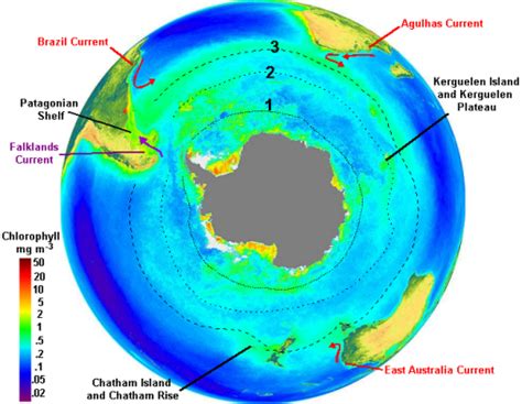 Ocean Currents Southern Ocean Fronts