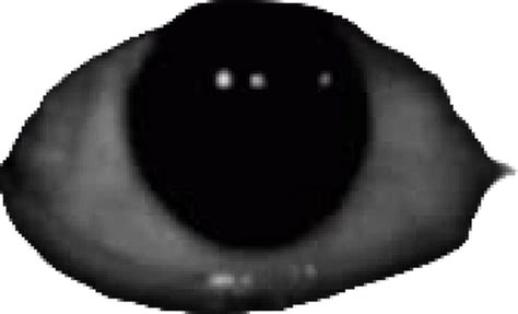 Discuss Everything About Expanded Rooms Wiki Fandom