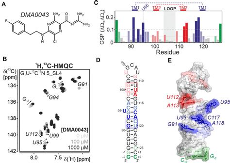 A Chemical Str Uct Ure Of The Screening Hit Dma0043 B Download Scientific Diagram