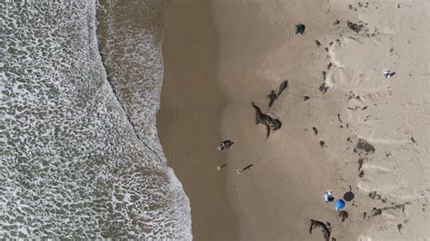 Shark Model 4 Object Detection Dataset By Public Shark Model