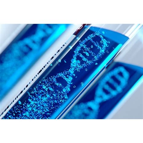Cfdna Cfrna Isolation Services