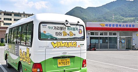 정선군 와와버스 공영차고지 조성