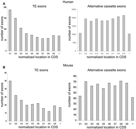 Bias Toward Exonization At The 5′ End Of The Cds Te Derived Exons Download Scientific Diagram