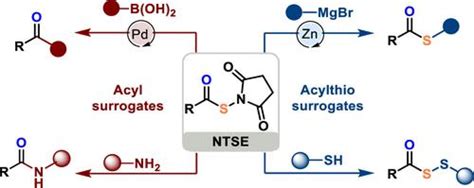 N 硫代羟基琥珀酰亚胺酯 NTSE 用于选择性酰基和酰基硫基转移的多功能试剂 Organic Letters X MOL
