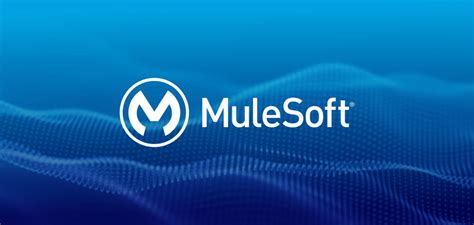 How Mulesoft Patched A Critical Flaw And Avoided A Disaster 2025 Threatshub Cybersecurity News