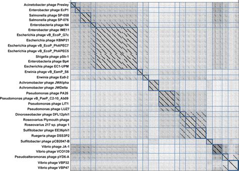 Dot Plot Comparison Of All N4 Like Phage Performed Using Gepard All