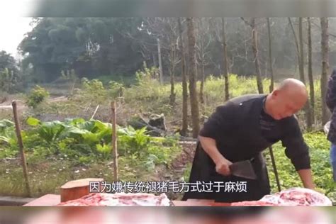 国外发明褪猪毛神器黑猪进去白猪出来省时又省力
