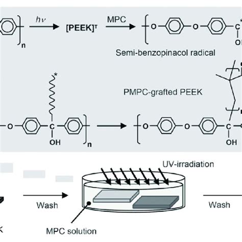 The Scheme Of Polyether Ether Ketone Peek Surface Modifications Via Download Scientific