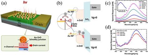 Plasmonic Hot Electrons For Sensing Photodetection And Solar Energy Applications A
