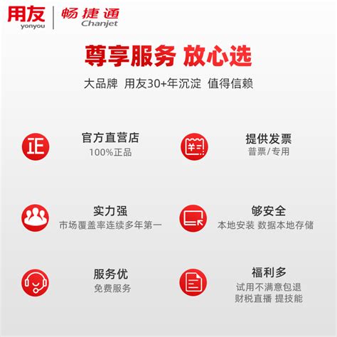 用友财务软件畅捷通t普及版t3单机版财务记账进销存erp云加密虎窝淘