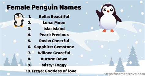435 Cute Penguin Names 2026 That Melt Your Heart Instantly Names Trove
