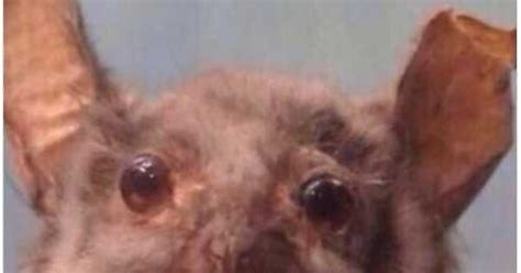 Random Dump Pt 2 Album On Imgur