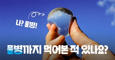 물병을 먹는다고 이상한 아이디어가 지지 받는 법 Publy