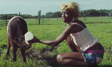 Junglepussy S Trader Joe Video Watch It Here