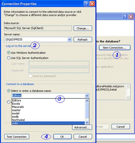 Usando o Entity Framework em uma aplicação Windows Forms