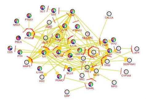 Expression Map Analysis For 80 Elements Of Main Connected Component