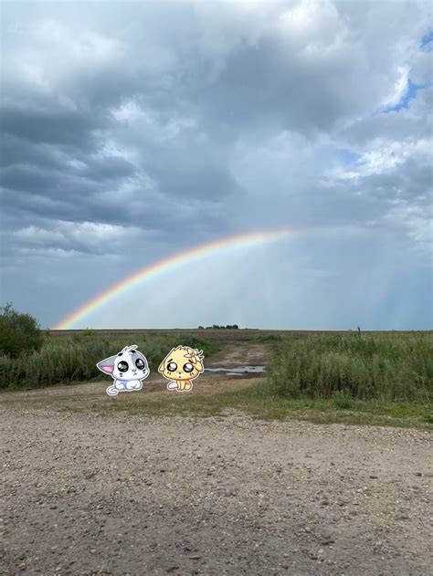 бисквит и ванилька