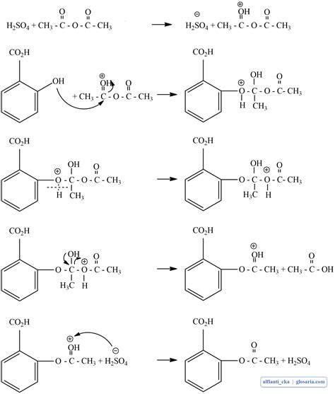 Mekanisme Reaksi Esterifikasi Dan Contohnya