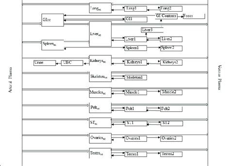 Model Structure Of Free Unbound Plutonium Including The