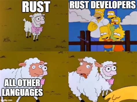 Rust Developers Rprogrammerhumor