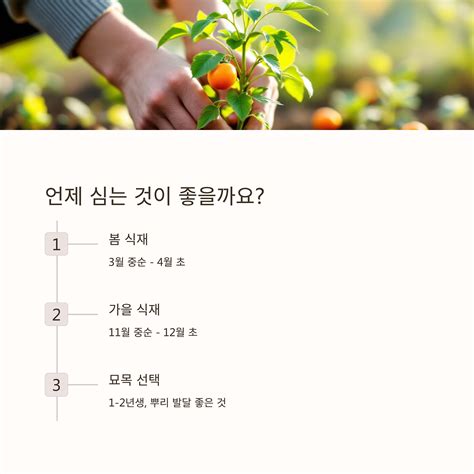 감나무 묘목심는시기 재배법 완벽정리