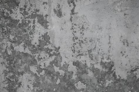 Fundo Cinzento Neutro Textura Do Grunge Do Muro De Cimento Foto De