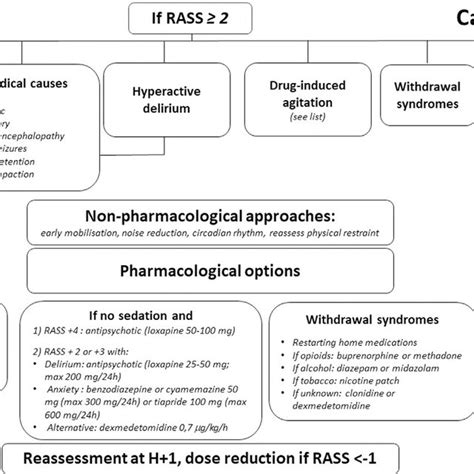 A Practical Algorithm Proposed In Managing Agitation In The Intensive